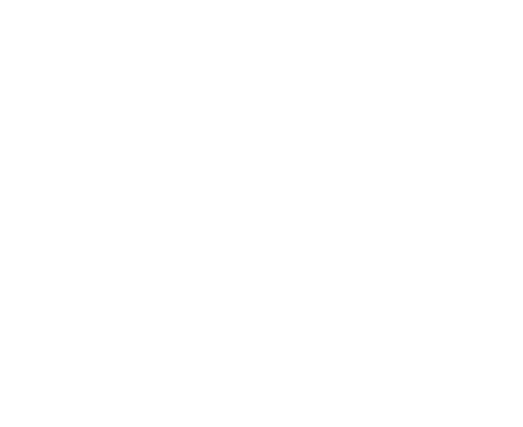 NYXONE IT SERVICES ~ NYXONE